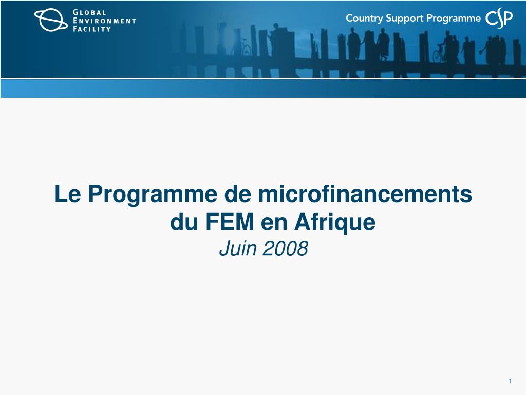 PPT - Le Programme de microfinancements du FEM en Afrique Juin 2008 ...