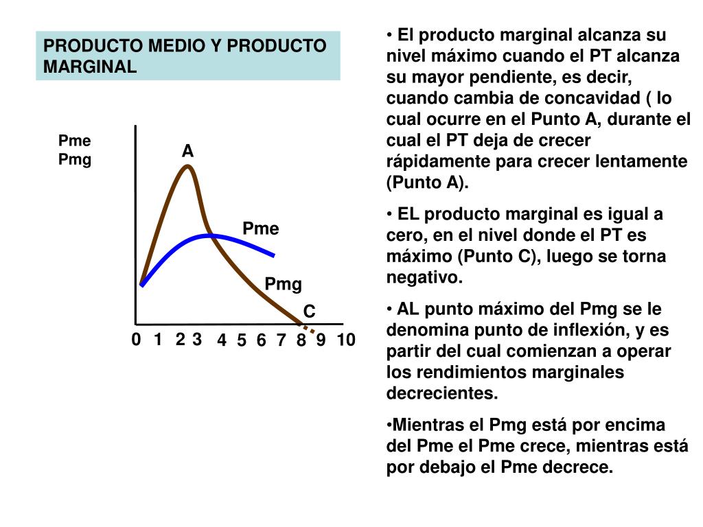 PPT - LA TEORÍA DE LA EMPRESA PowerPoint Presentation, free download ...