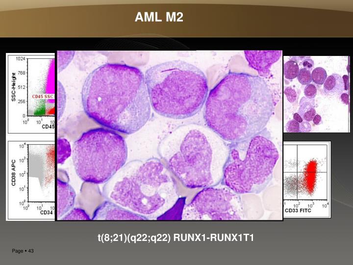 PPT - Basics of Flow Cytometry PowerPoint Presentation - ID:3355687