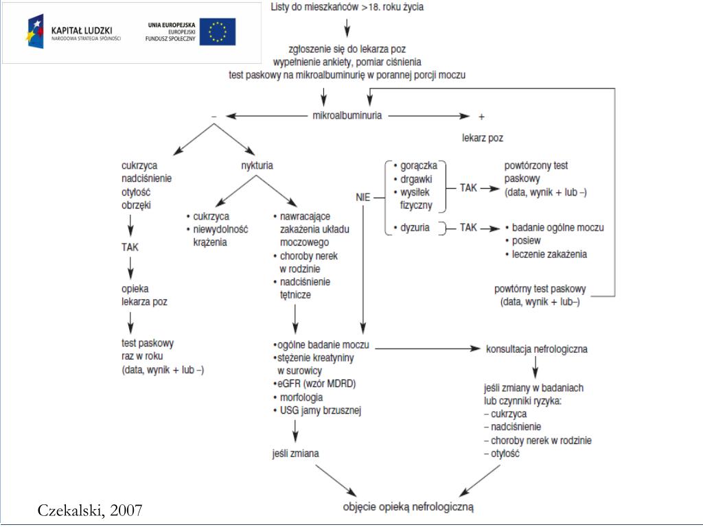 PPT - Przewlekła niewydolność (choroba) nerek PowerPoint Presentation ...