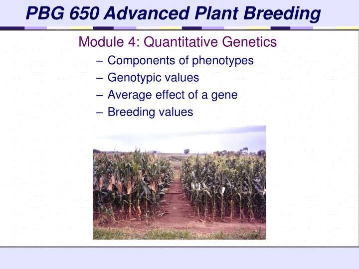 PPT - PBG 650 Advanced Plant Breeding PowerPoint Presentation, free ...