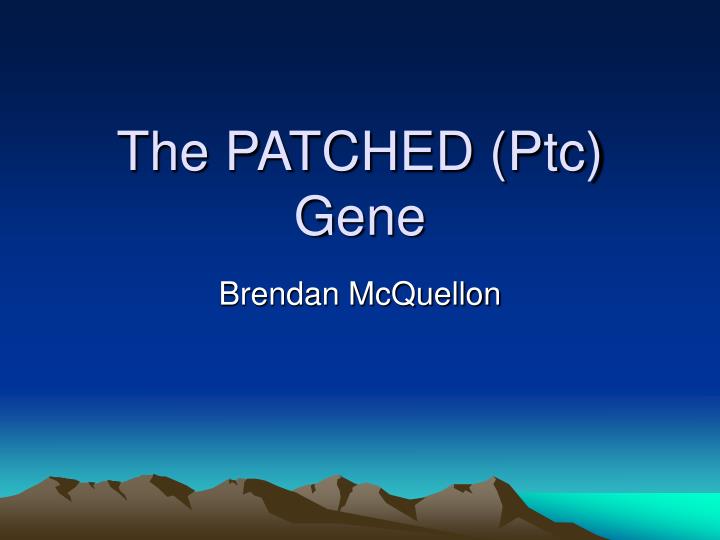 PPT - The PATCHED (Ptc) Gene PowerPoint Presentation, free download ...
