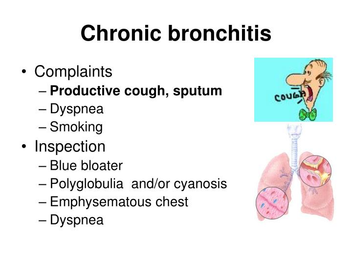 PPT - Common diseases of the respiratory system PowerPoint Presentation - ID:3357549