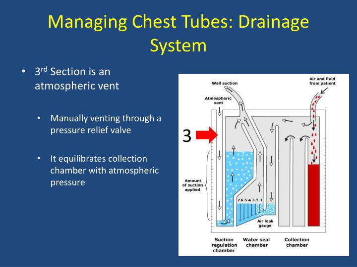 PPT - Chest Tube Insertion and Needle Decompression PowerPoint ...