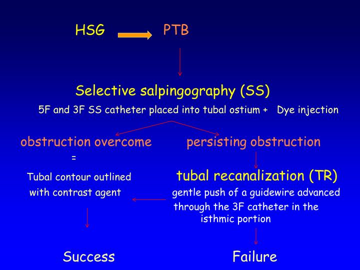 PPT - SELECTIVE HYSTEROSALPINGOGRAPHY AND TUBAL RECANALIZATION : WHEN ...