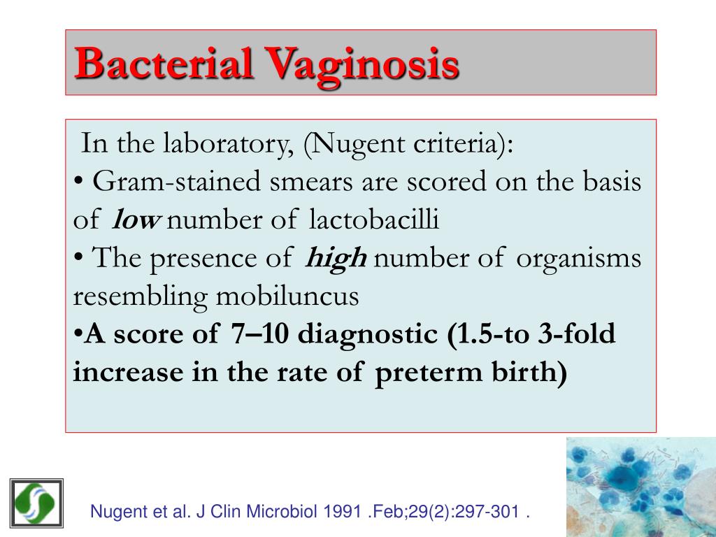PPT - Bacterial Vaginosis, Periodontal Disease and Preterm Birth Eyal ...