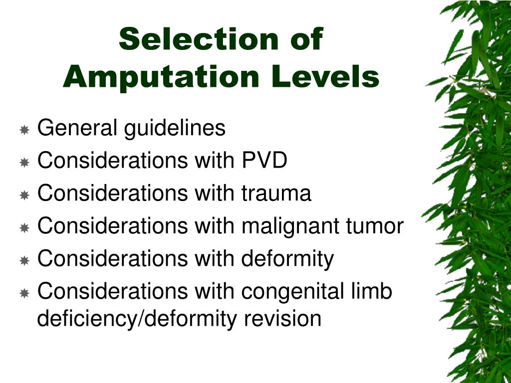 PPT - Examination & Treatment of the Lower Extremity Amputee PowerPoint ...