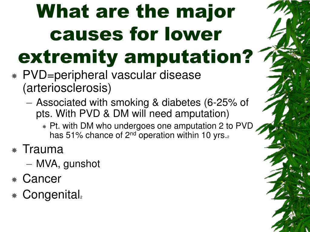 PPT - Examination & Treatment of the Lower Extremity Amputee PowerPoint ...