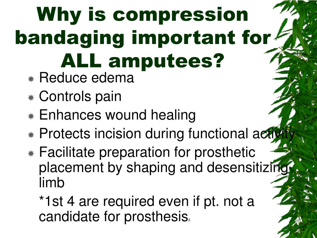 PPT - Examination & Treatment of the Lower Extremity Amputee PowerPoint ...
