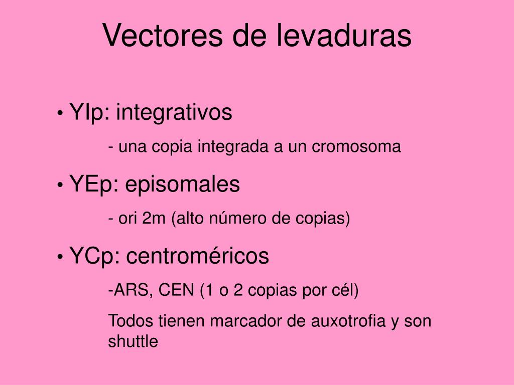 PPT - Producción de proteínas recombinantes en cél eucariotas ...
