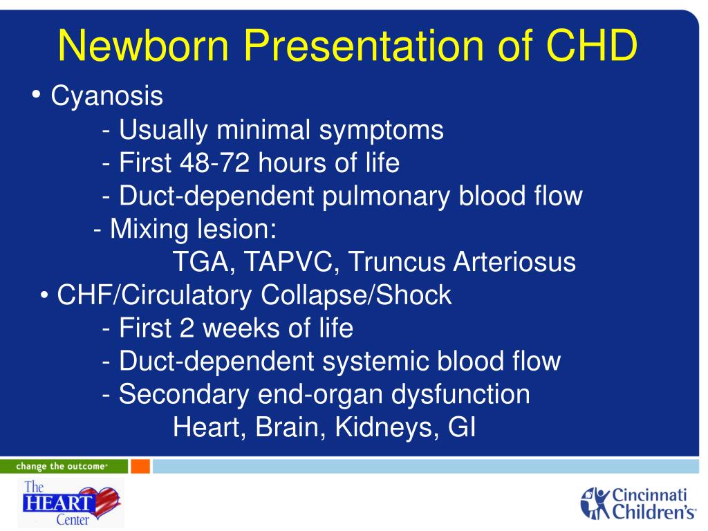 PPT - Critical Congenital Heart Disease in the Newborn: Anatomy ...