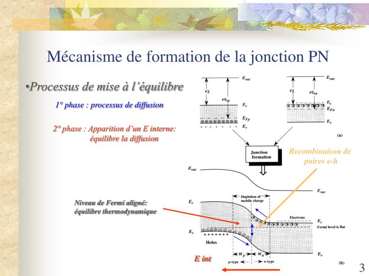 PPT - Homo-jonction à semi-conducteur PowerPoint Presentation - ID:3359954