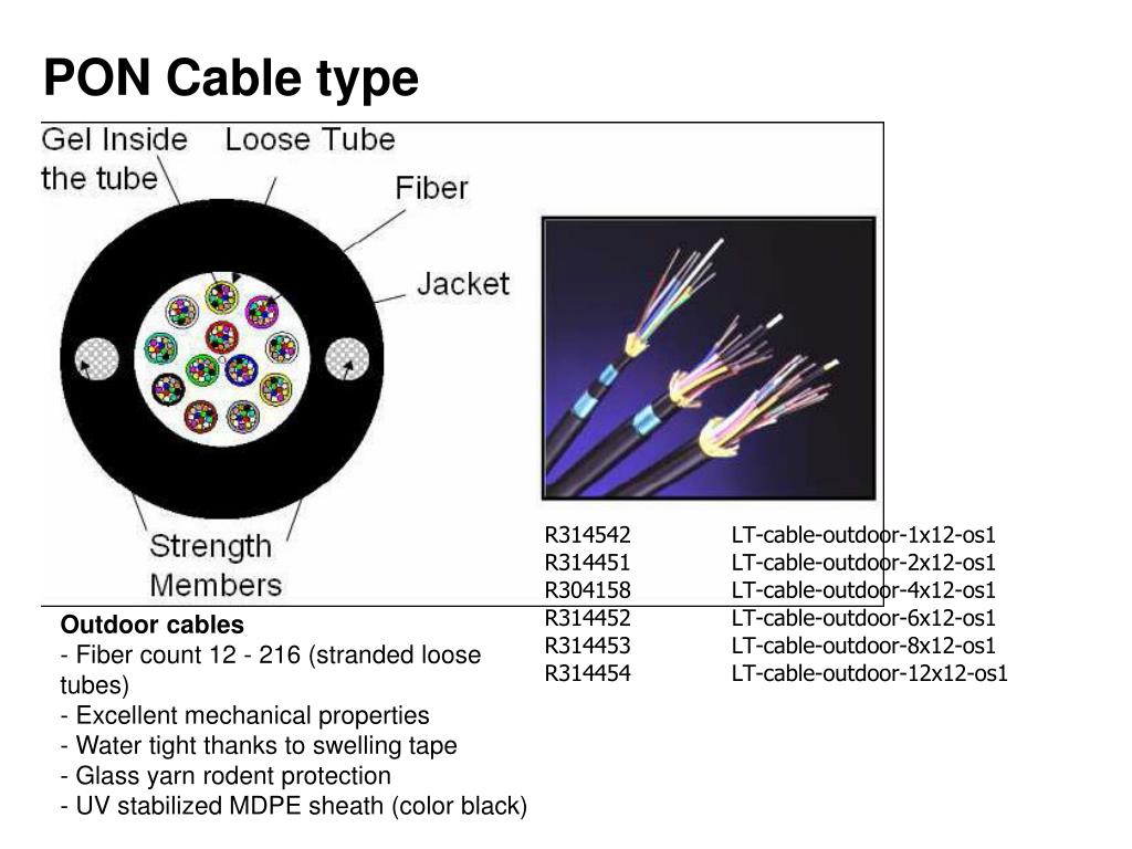 PPT - FTTH PON Unsolicited offer Cristina Deac Market Manager Europe ...