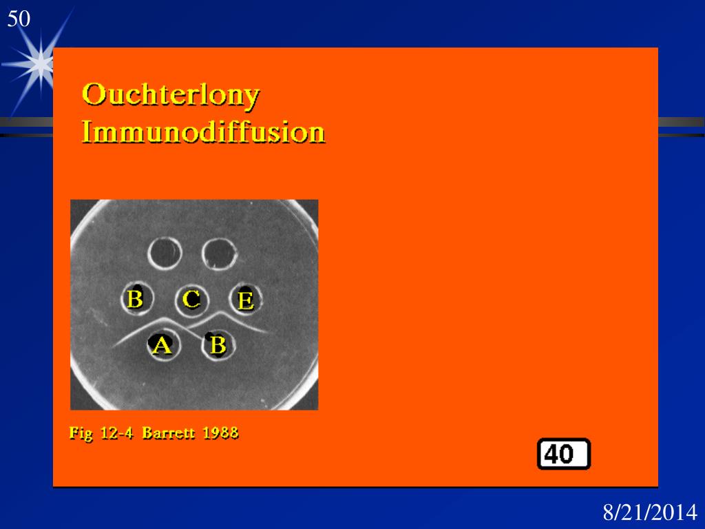 PPT - Antigen - Antibody Interactions Precipitin Reactions PowerPoint ...