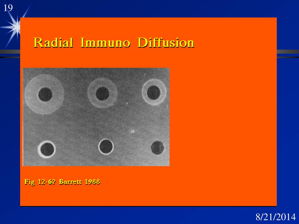 PPT - Antigen - Antibody Interactions Precipitin Reactions PowerPoint ...