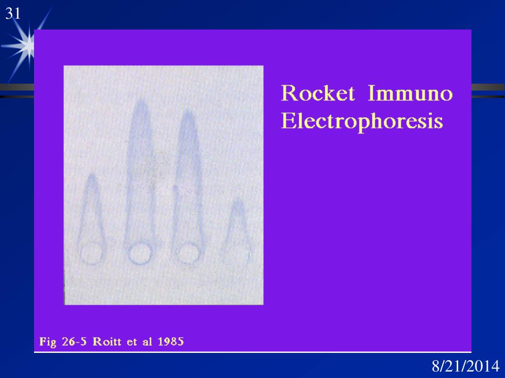 PPT - Antigen - Antibody Interactions Precipitin Reactions PowerPoint ...