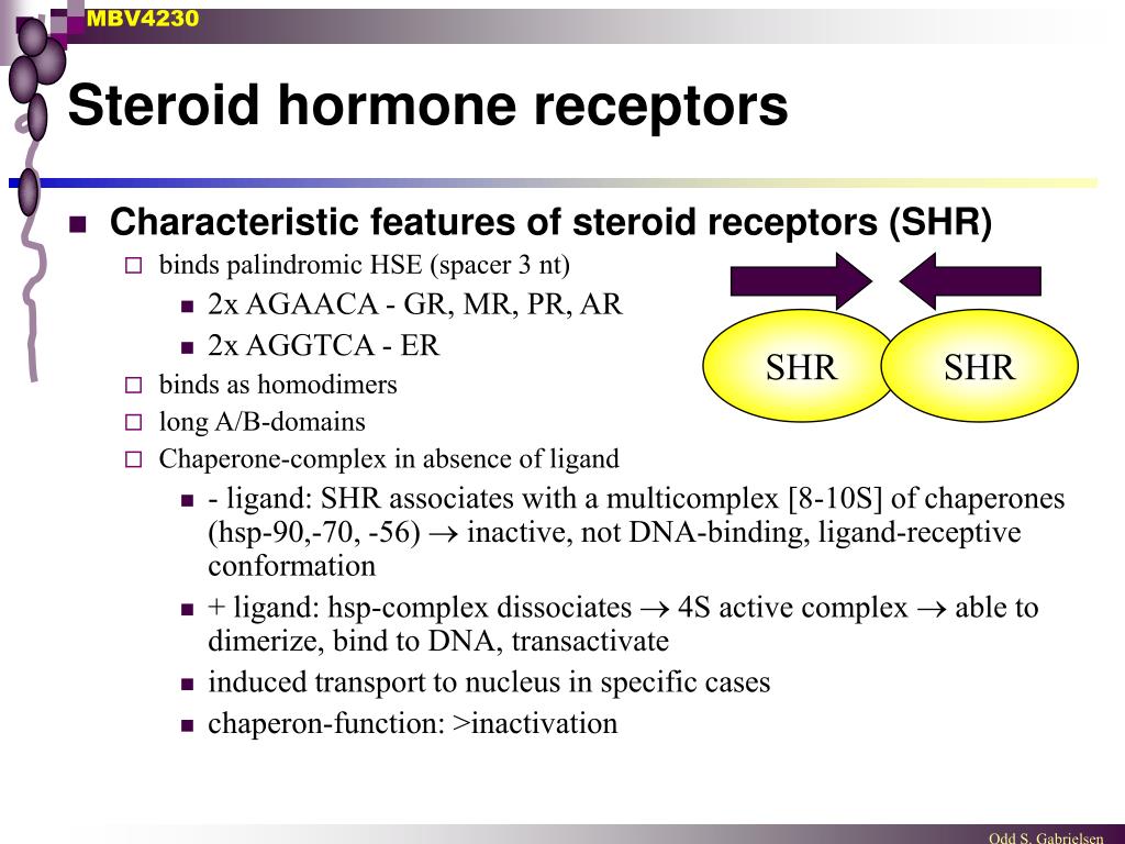 PPT - The super-family of nuclear receptors PowerPoint Presentation ...