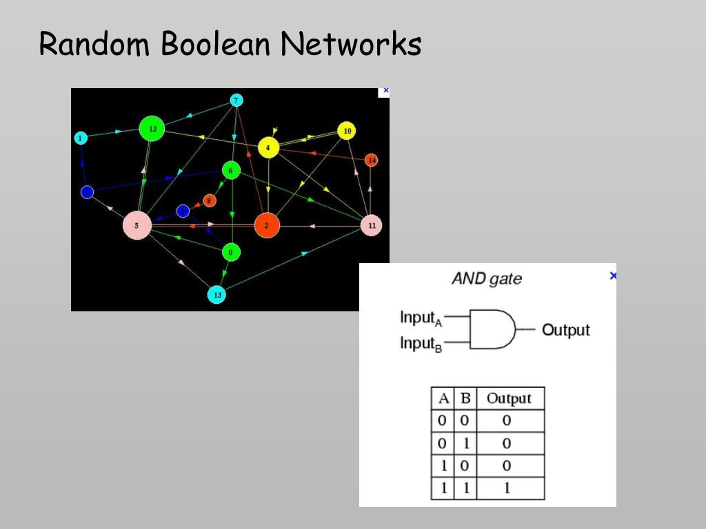 Ppt Random Boolean Networks Powerpoint Presentation Free Download