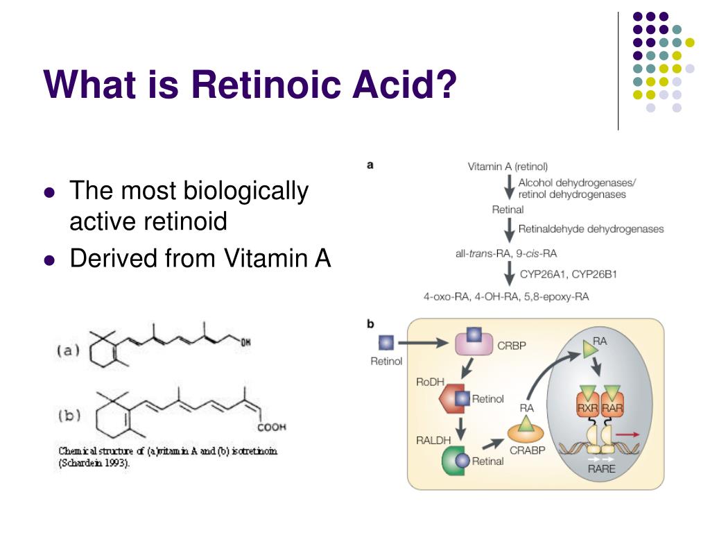 PPT - Retinoic Acid Receptor-Alpha and Its Role in Acute Promyelocytic ...