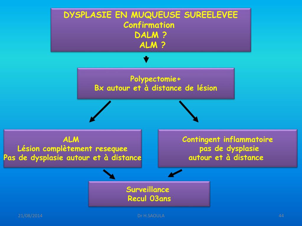 PPT - DEPISTAGE DU CANCER COLORECTAL DANS LA RECTOCOLITE HEMORRAGIQUE ...
