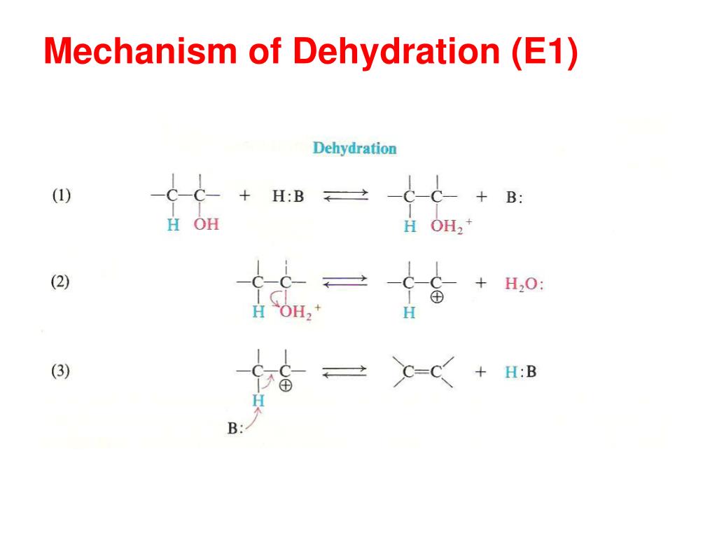 PPT - Organic A Chapter 8 Alkenes (I) By Prof. Dr. Adel M. Awadallah ...