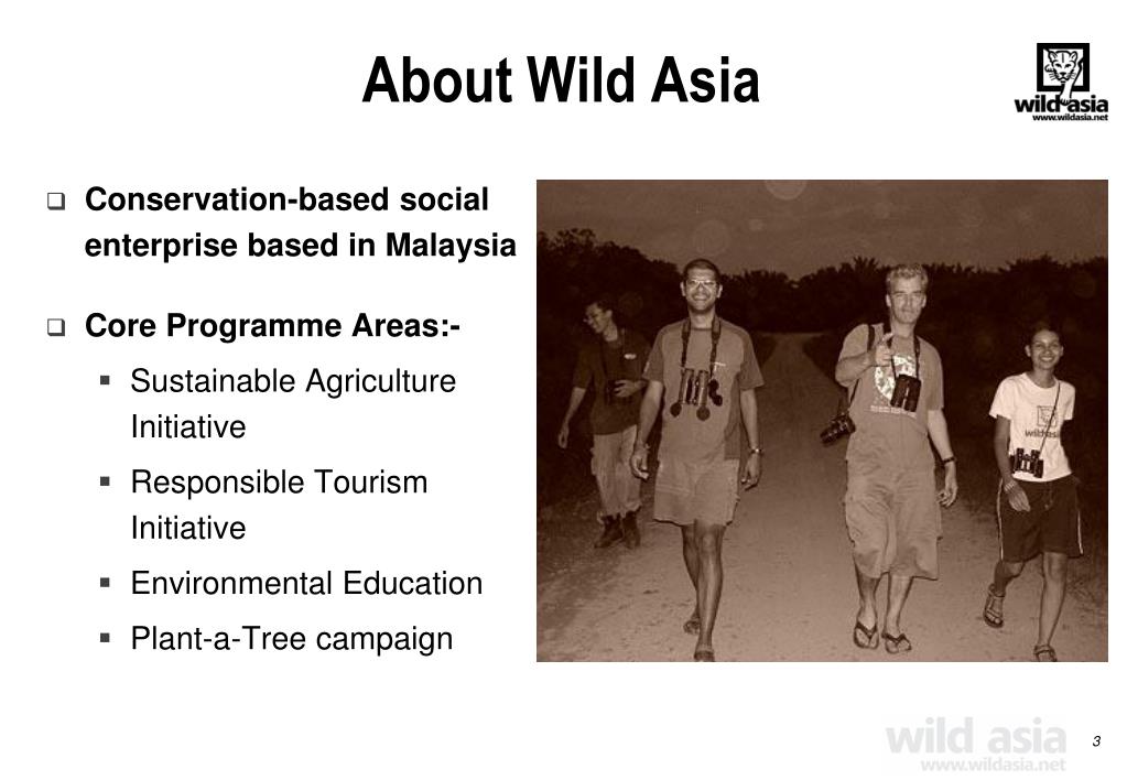 PPT - Sustainability in Oil Palm By Shafinaz Suhaimi Sustainability ...