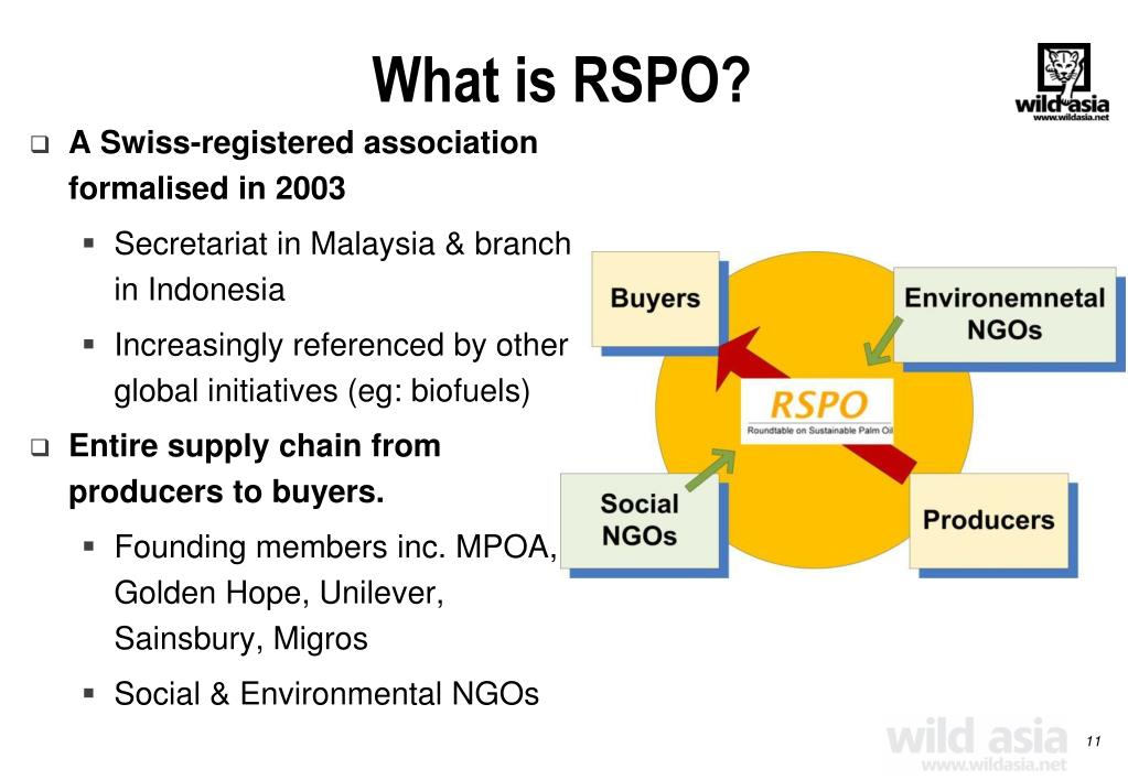 PPT - Sustainability in Oil Palm By Shafinaz Suhaimi Sustainability ...
