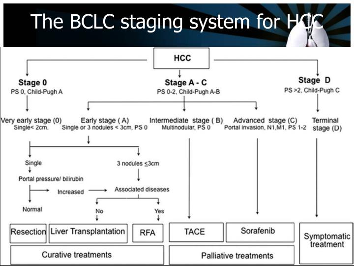 PPT - Multidisciplinary approach to HCC PowerPoint Presentation - ID ...