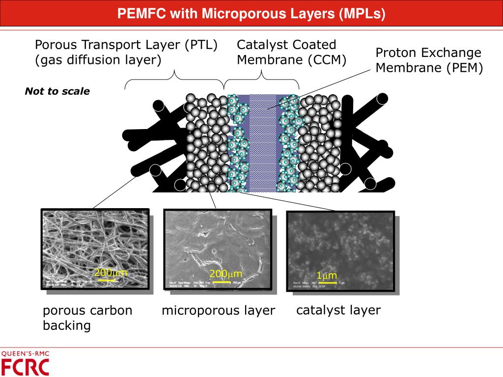 PPT - Brant Peppley Director Queen’s-RMC Fuel Cell Research Centre ...
