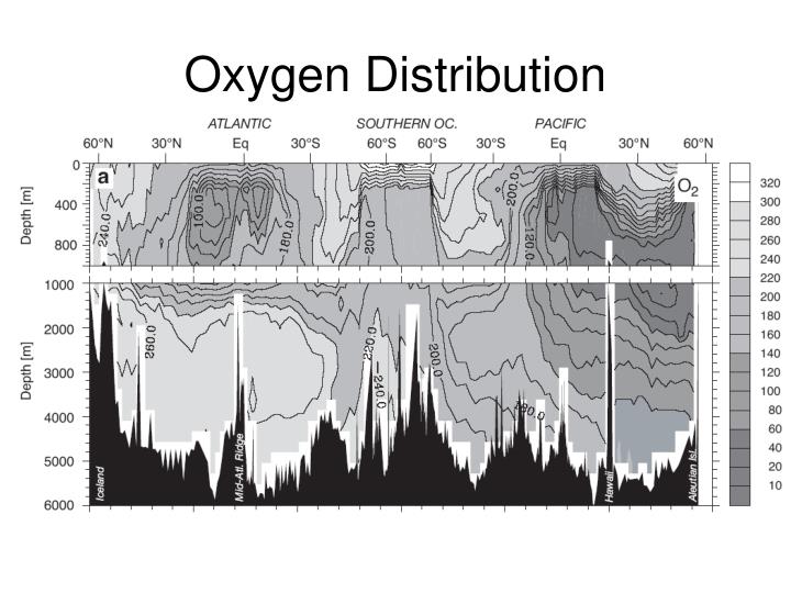 PPT - Lecture 17: Respiration Oxygen distributions and ocean ...