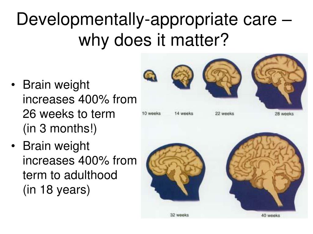 PPT - Current Trends in Developmental Care in the NICU March of Dimes ...