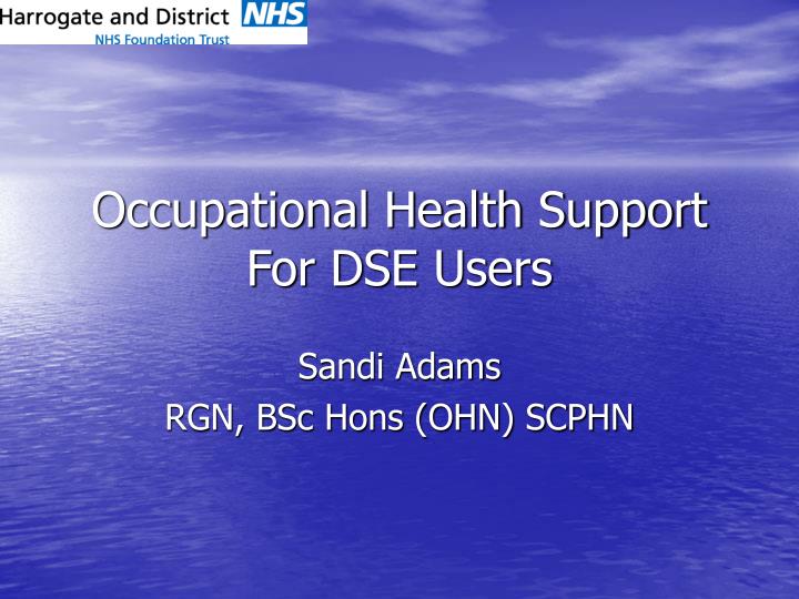 PPT - Occupational Health Support For DSE Users PowerPoint Presentation ...