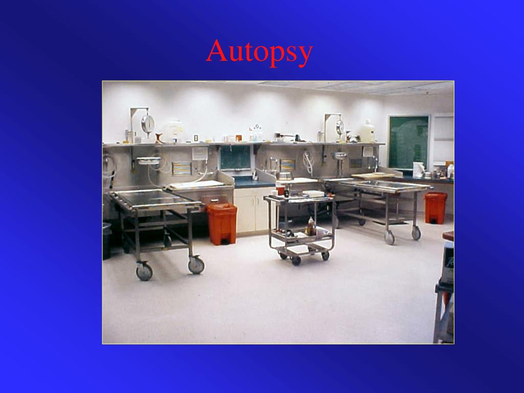 PPT - The Vermont Medical Examiner System PowerPoint Presentation, free ...