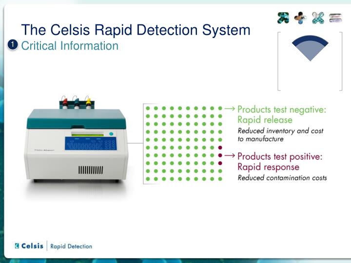 PPT - Celsis Rapid Detection: AKuScreen™ Adenylate Kinase-amplified bioluminescence PowerPoint ...