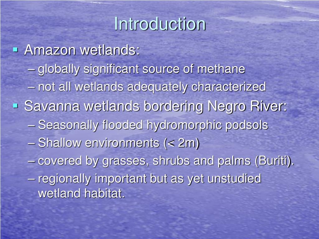 PPT - Emissions of CH4 from interfluvial savanna wetlands bordering the ...