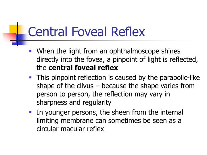 PPT - Retina PowerPoint Presentation - ID:3364562
