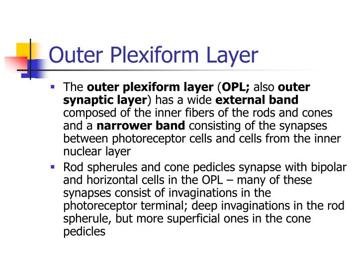 Ppt Retina Powerpoint Presentation Id 3364562