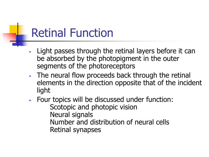 PPT - Retina PowerPoint Presentation - ID:3364562