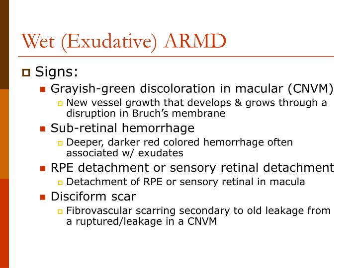 PPT - Common Posterior Pole Disorders PowerPoint Presentation - ID:3364585