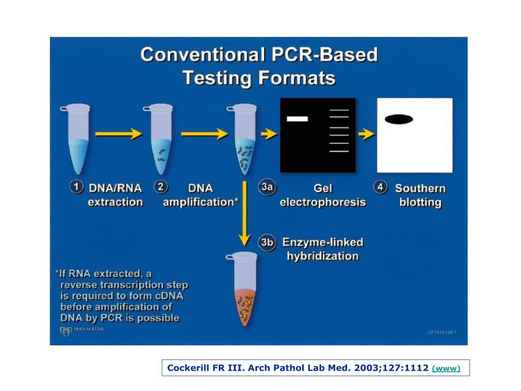 PPT - Real-Time PCR M.Tevfik DORAK, MD PhD updated on April 3, 2012 ...