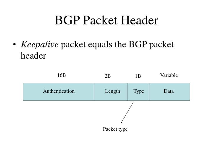 PPT - BGP and ICMP PowerPoint Presentation - ID:3365327