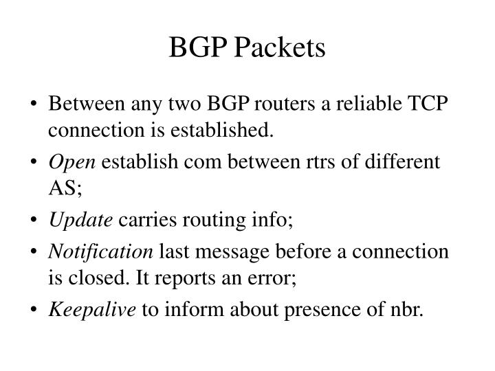 PPT - BGP and ICMP PowerPoint Presentation - ID:3365327