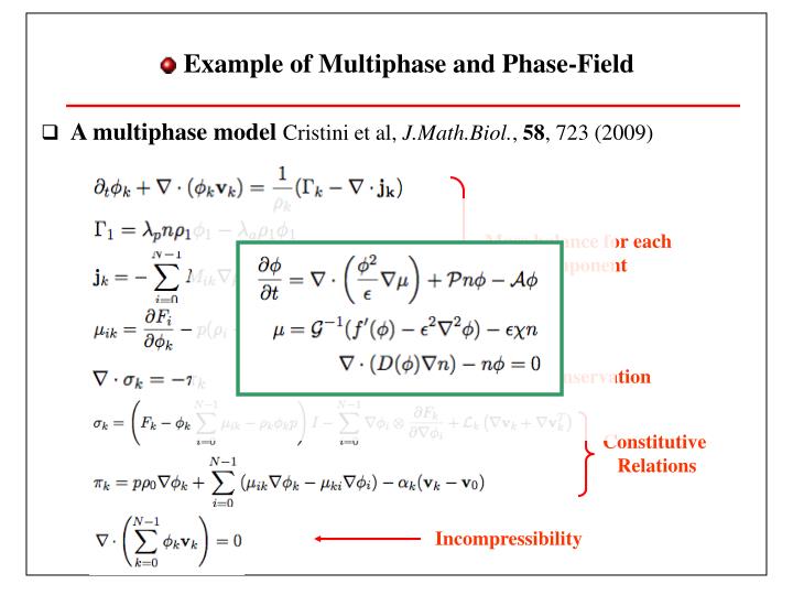 PPT - The Physics in Biology Modeling Tumor Growth and Angiogenesis ...