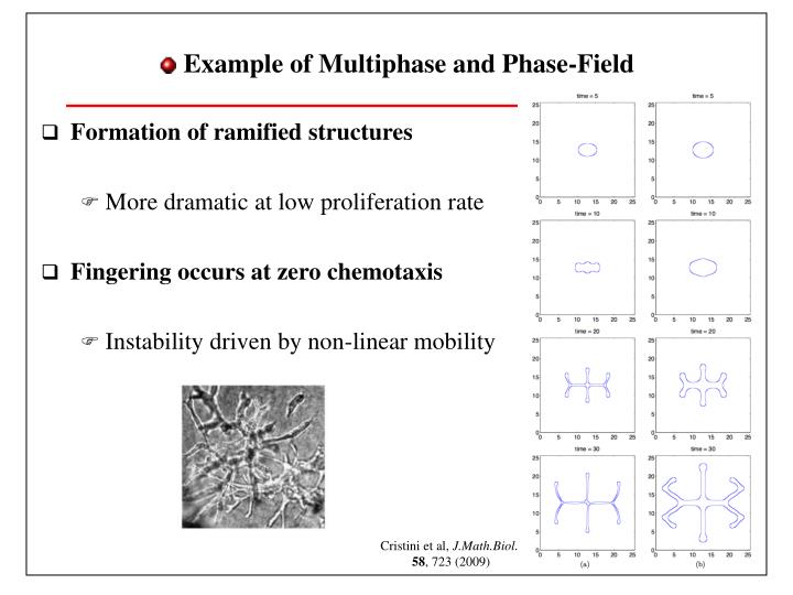 PPT - The Physics in Biology Modeling Tumor Growth and Angiogenesis ...