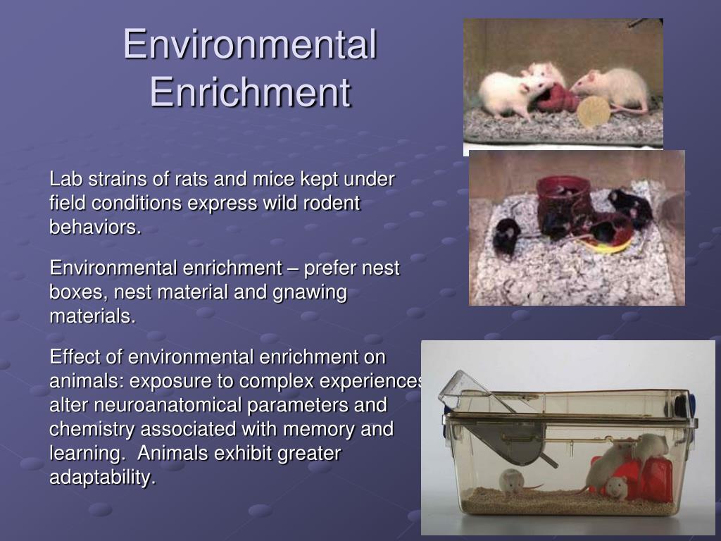 PPT - Timo Nevalainen University of Eastern Finland Kuopio, Finland ...