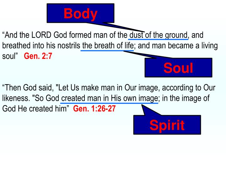 PPT - Body, Soul, and Spirit PowerPoint Presentation - ID:3365768