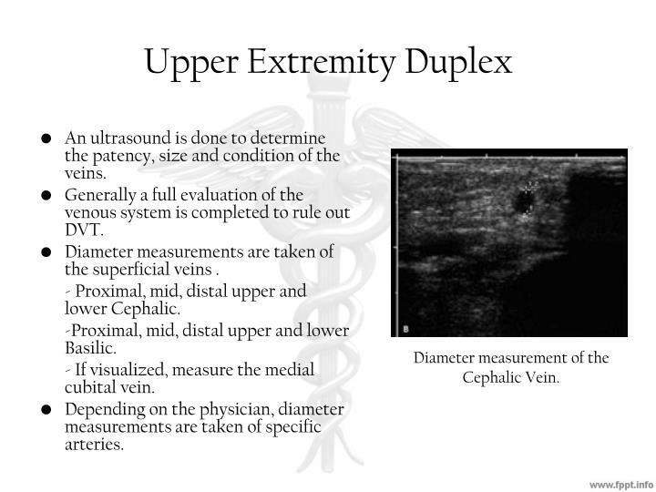 PPT - The Role of the Technologist in Pre-Op Surgical Planning for AVF ...