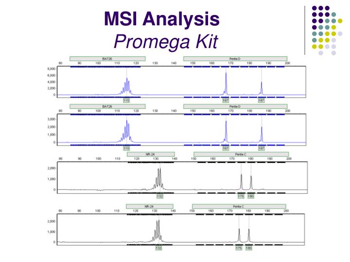 PPT - Microsatellite Instability Testing PowerPoint Presentation - ID ...