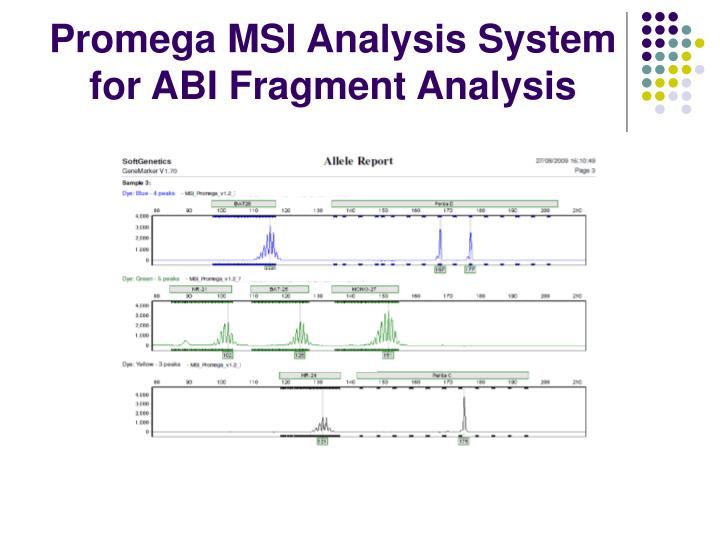 PPT - Microsatellite Instability Testing PowerPoint Presentation - ID ...