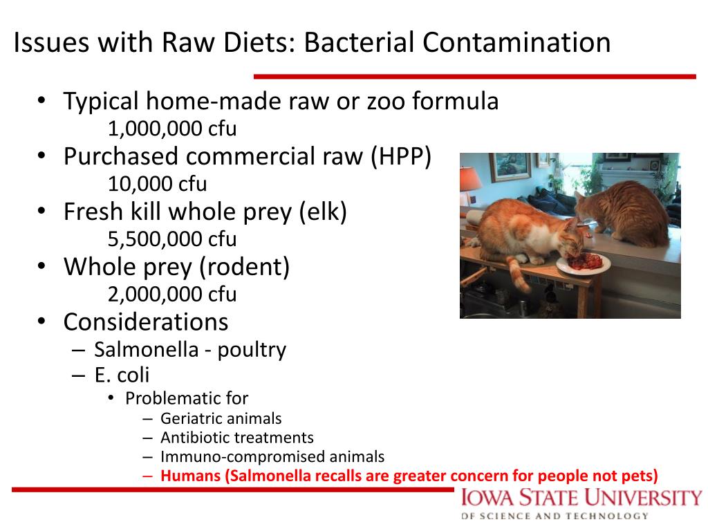PPT - Nutrition of Companion Animals – 2 March 13, 2013 PowerPoint ...